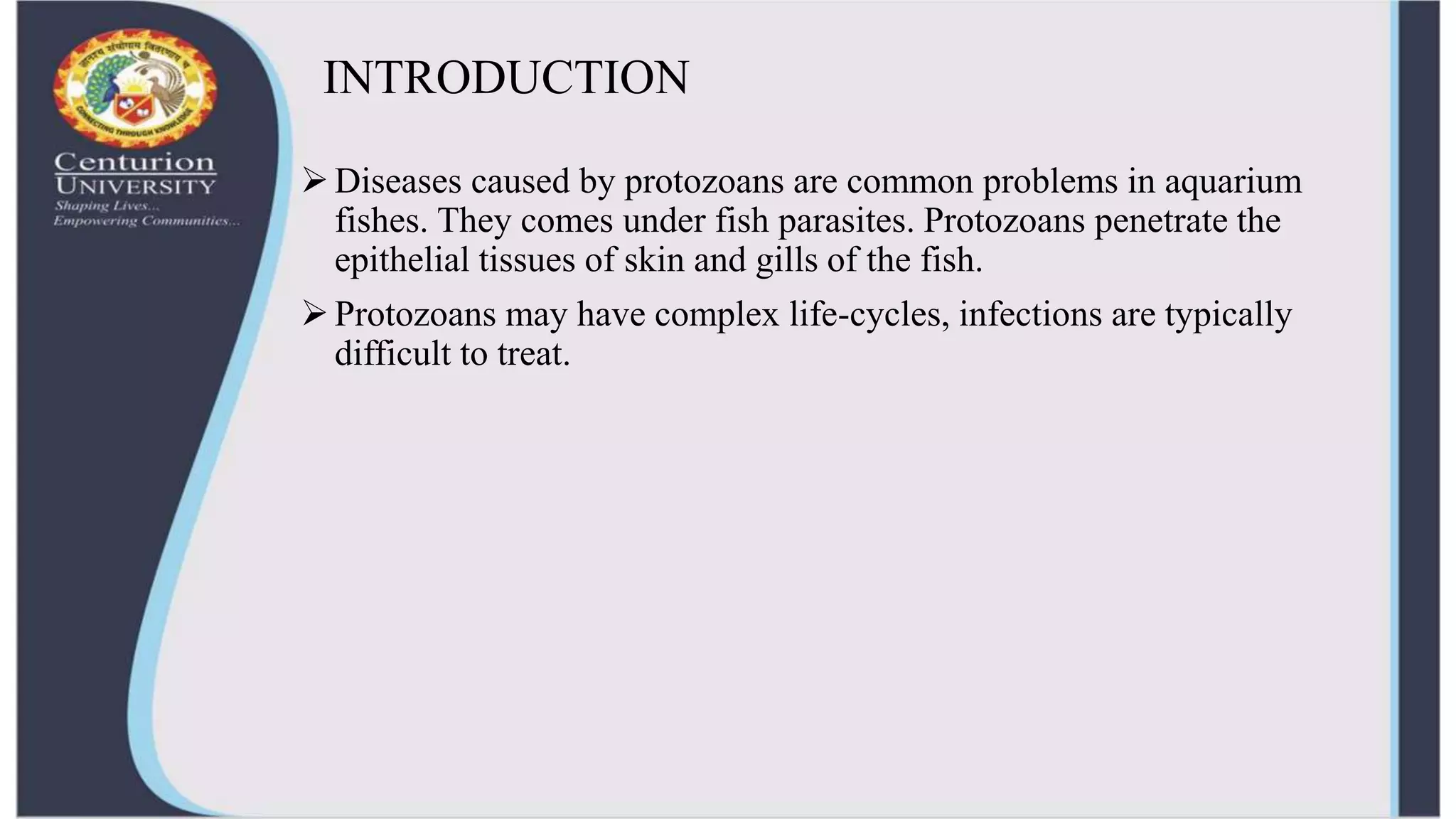 PROTOZOAN DISEASES IN FISH-52.pptx