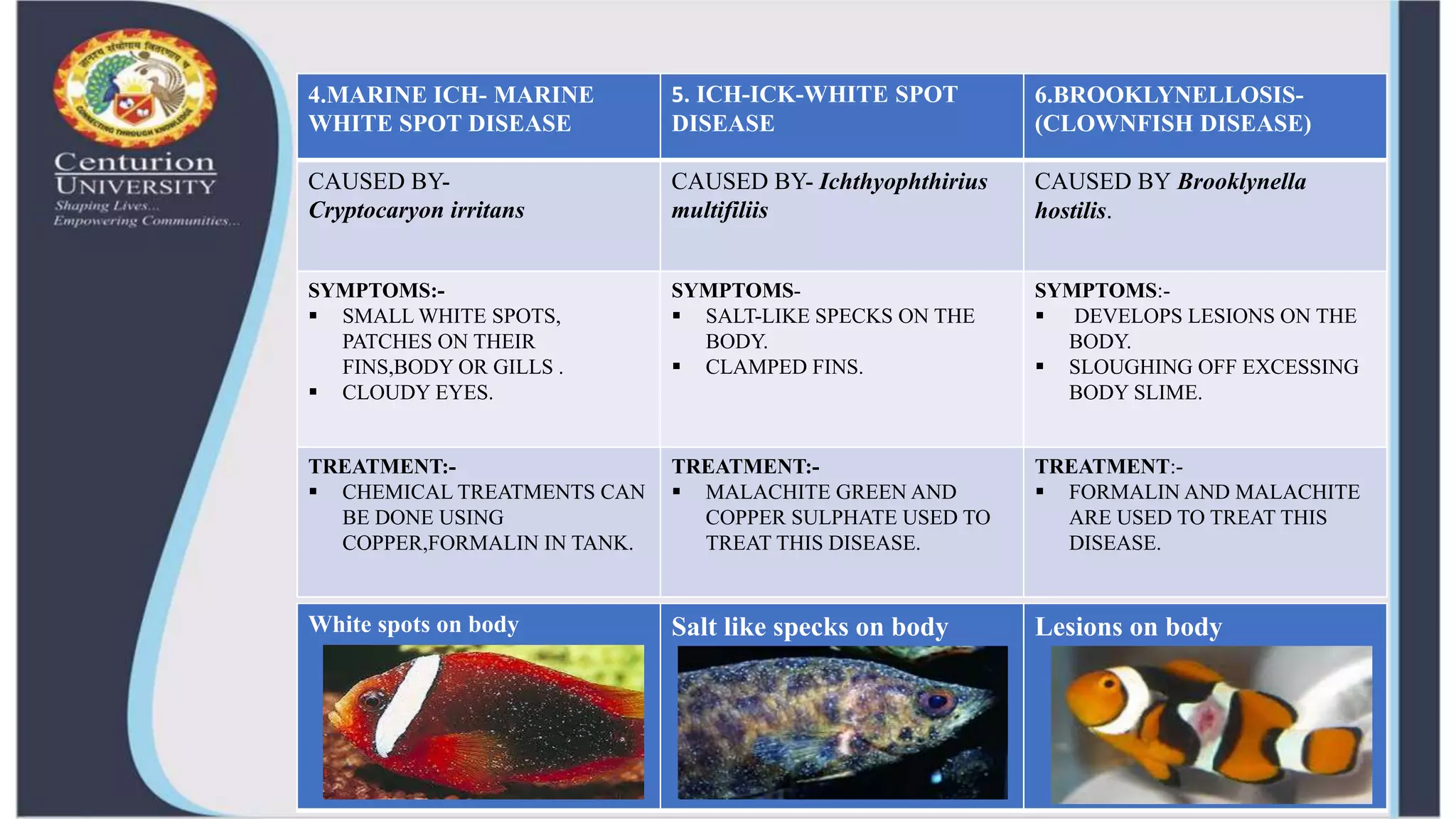 PROTOZOAN DISEASES IN FISH-52.pptx