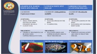 PROTOZOAN DISEASES IN FISH-52.pptx