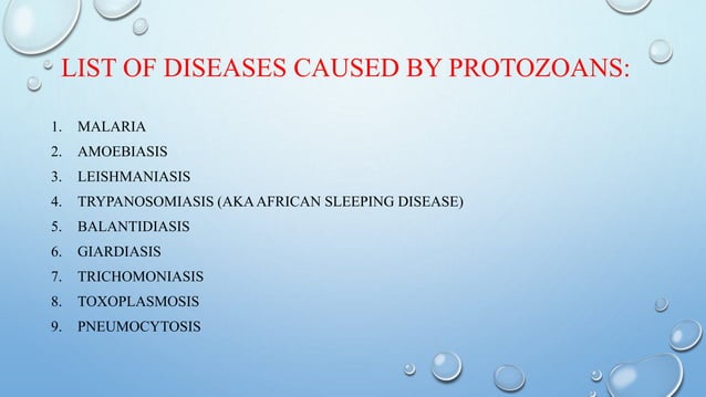 Protozoan diseases in human beings | PPTX | Infectious Diseases ...