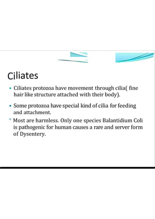 protozoans kd sync dud six ch vii goo .pptx