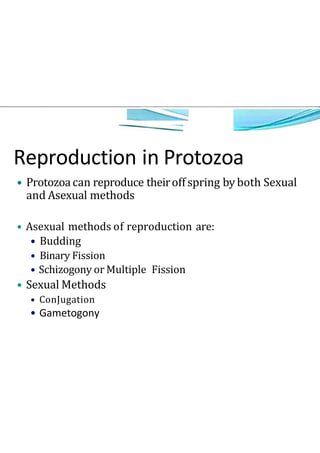 protozoans kd sync dud six ch vii goo .pptx | Biological Sciences | Science
