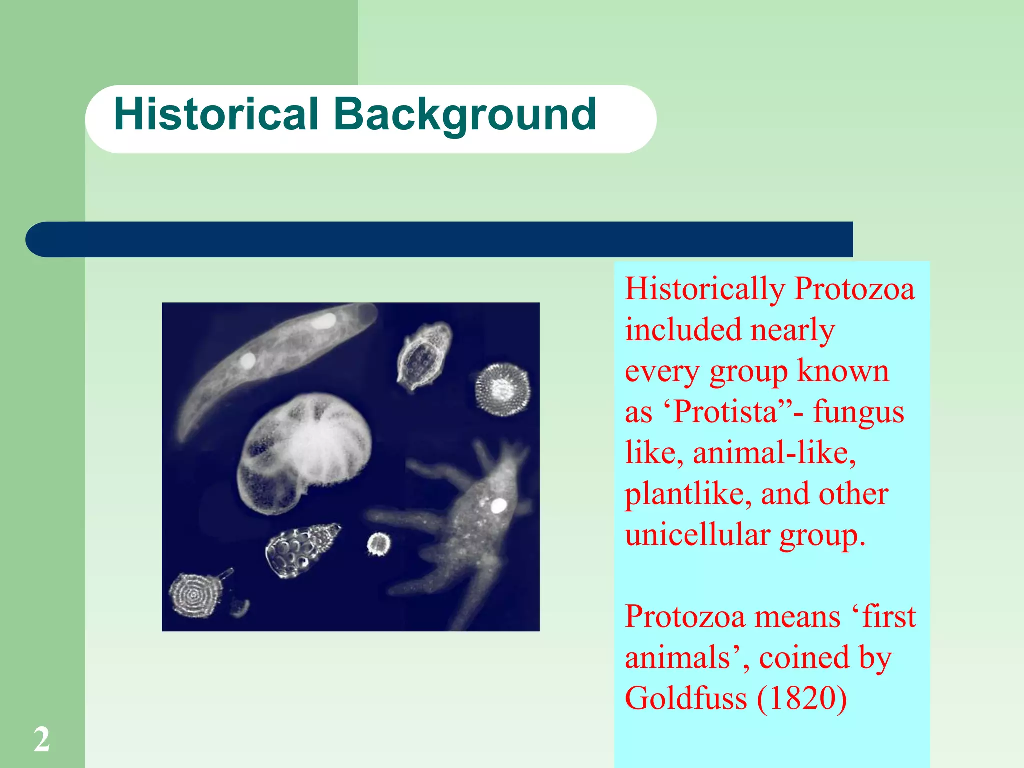Protozoans For class_modified.ppt
