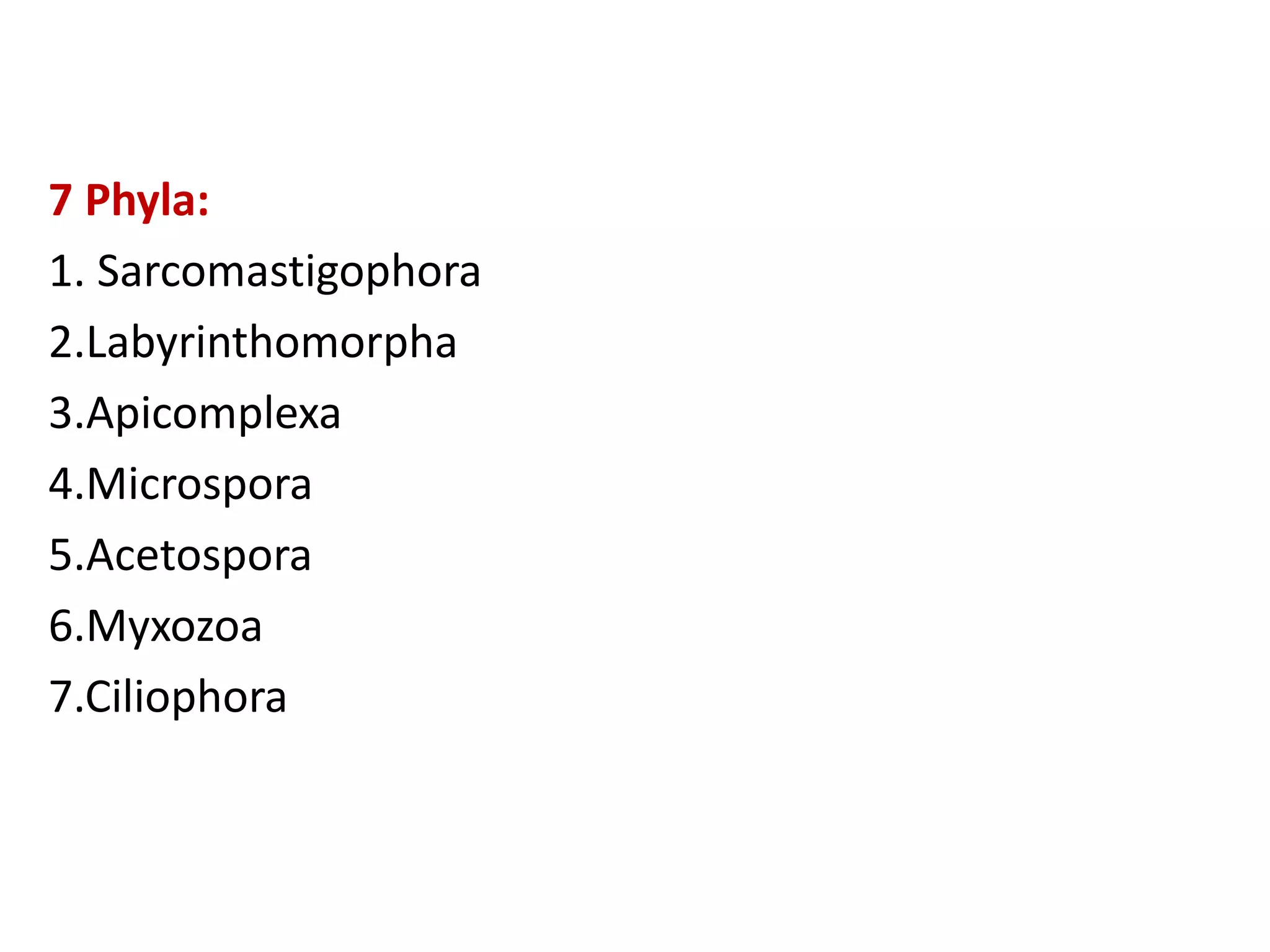 Protozoan Taxonomy.pptx