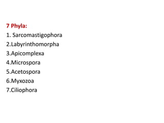 Protozoan Taxonomy.pptx