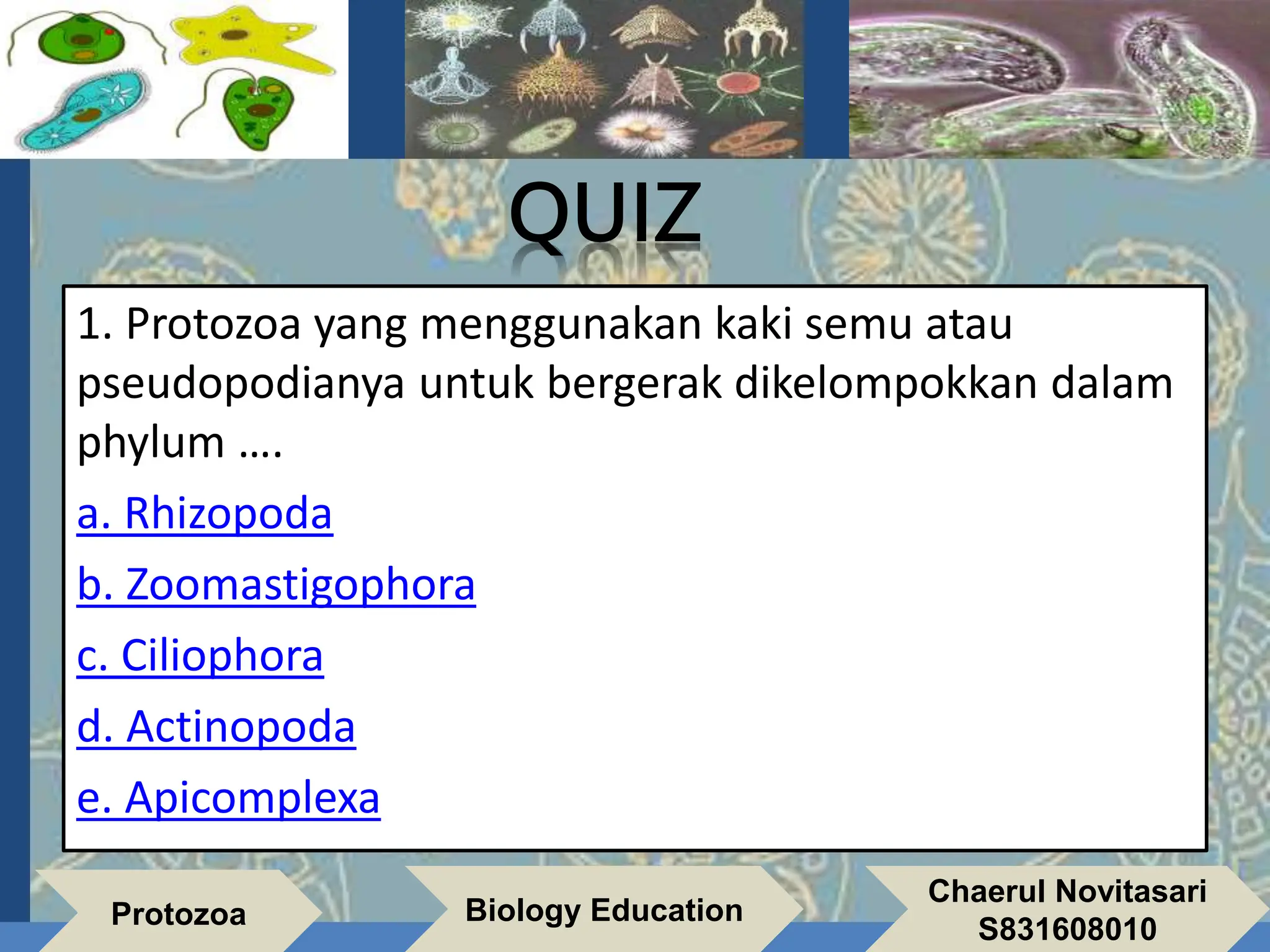 Protozoa PPT REVISI.pptx