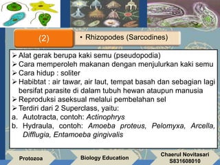 Protozoa PPT REVISI.pptx