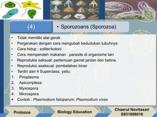 Protozoa PPT REVISI.pptx