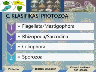 Protozoa PPT REVISI.pptx