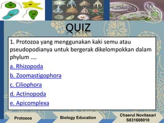 Protozoa PPT REVISIProtozoa PPT REVISIppt | PPT