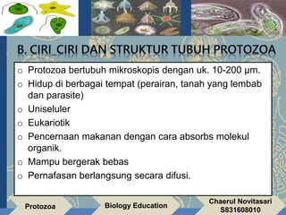 Protozoa PPT REVISIProtozoa PPT REVISIppt | PPT