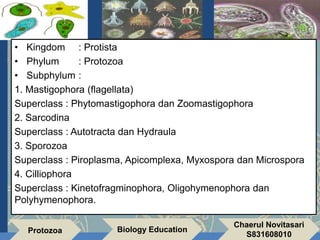 Protozoa PPT REVISIProtozoa PPT REVISIppt | PPT