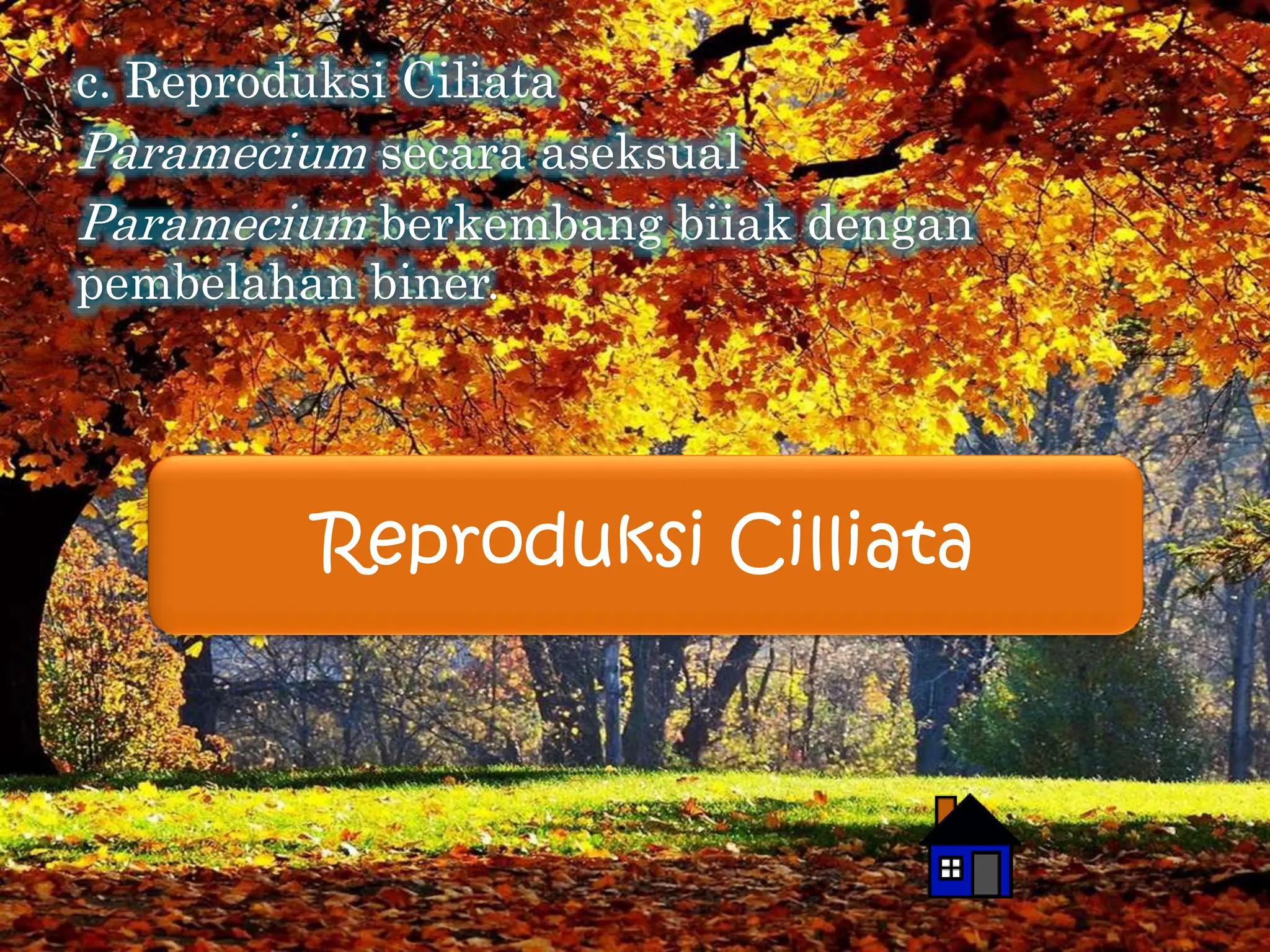 materi klasifikasi dan karakteristik protozoa | PDF