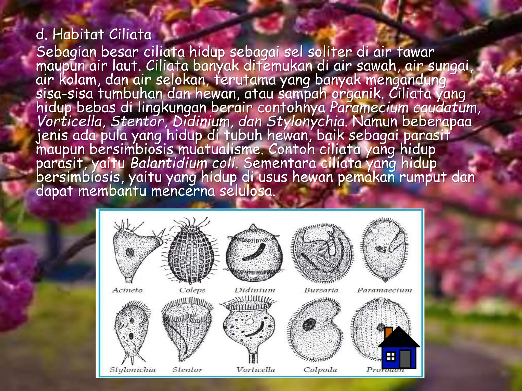 materi klasifikasi dan karakteristik protozoa | PDF