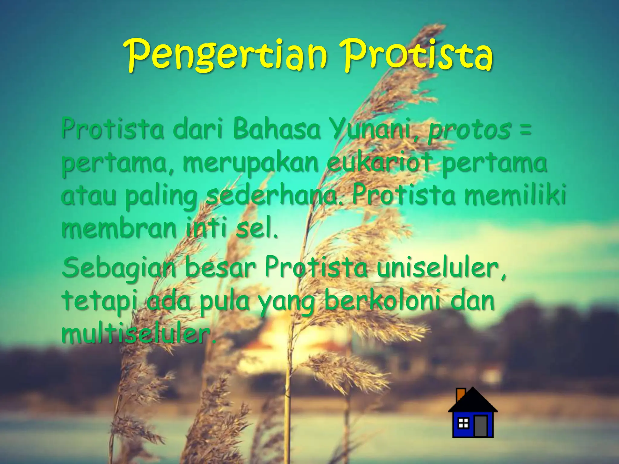 materi klasifikasi dan karakteristik protozoa | PDF