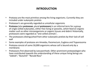 Protozoa(unit 1) | PPTX