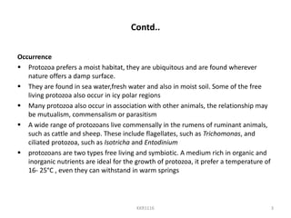 Protozoa(unit 1) | PPTX