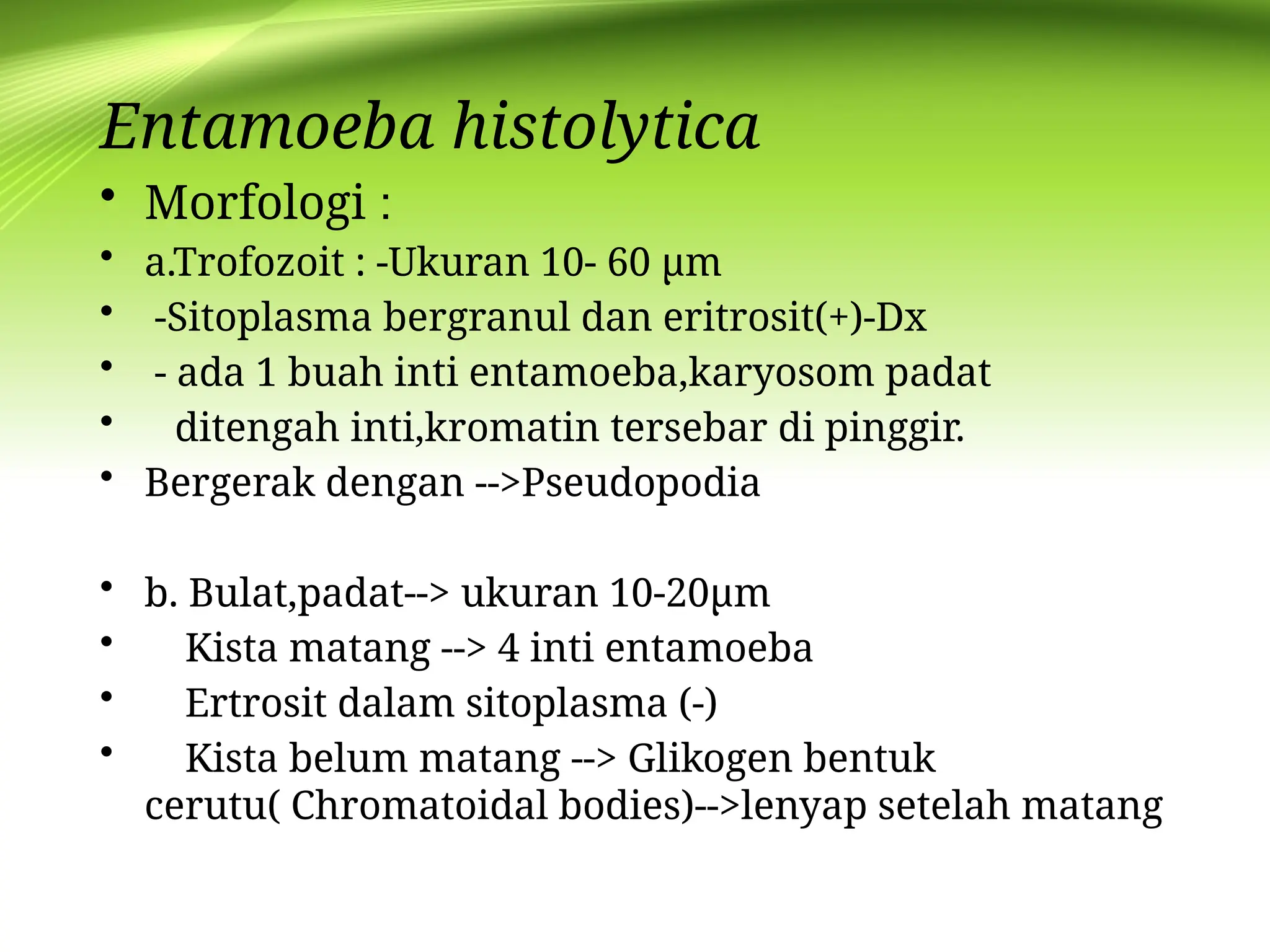 MORFOLOGI DAN KARAKTER PROTOZOA USUS.pptx