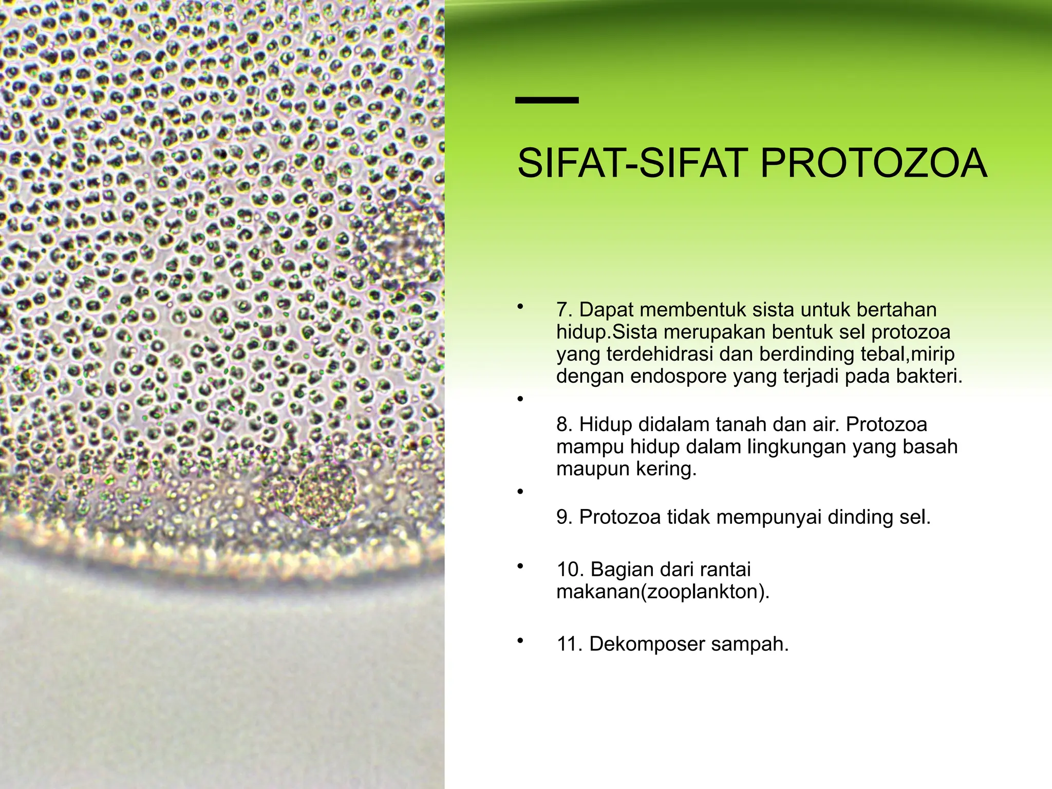 MORFOLOGI DAN KARAKTER PROTOZOA USUS.pptx