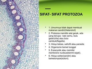 MORFOLOGI DAN KARAKTER PROTOZOA USUS.pptx