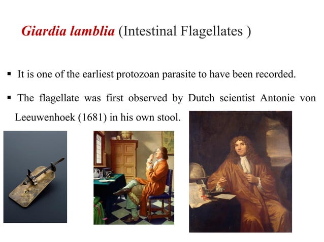Protozology 2. Flagellates ( Blood, Intestinal, Urogenital) | PPT