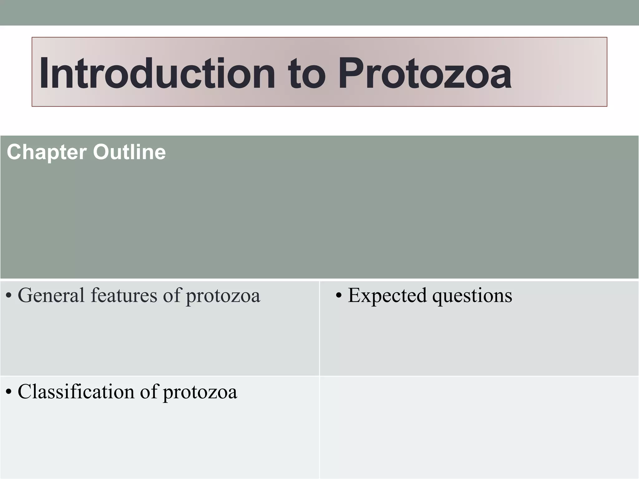 Protozoology.chapter 2 lecture 2.pptx