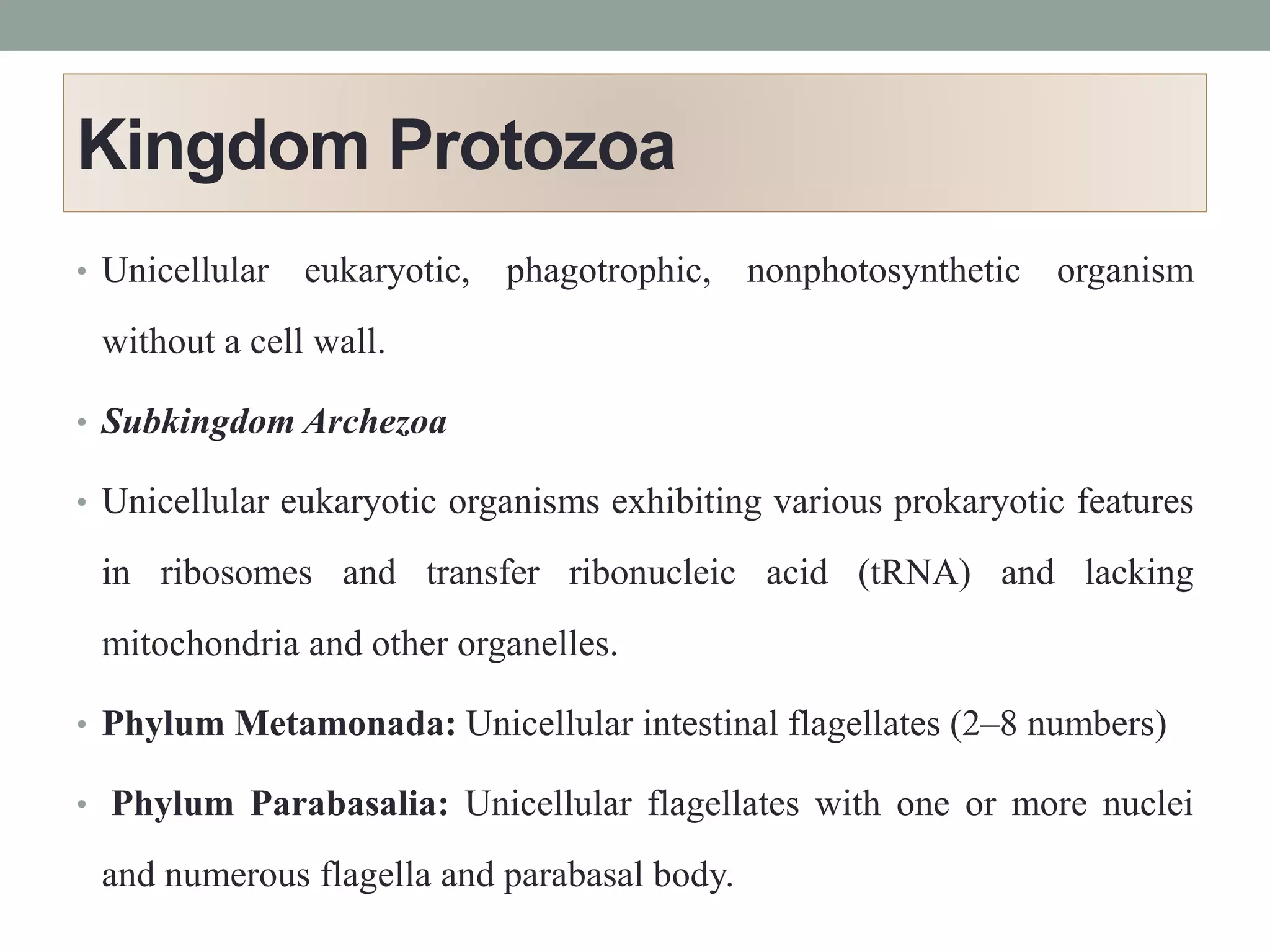 Protozoology.chapter 2 lecture 2.pptx