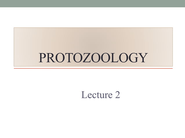 Protozoology.chapter 2 lecture 2.pptx | Biological Sciences | Science