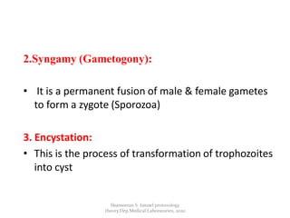 Protozoology theory 2 | PPT