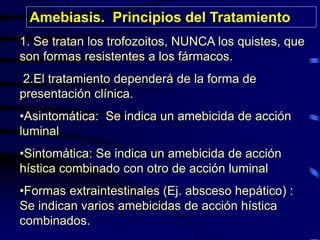 Protozoos-fin.ppt