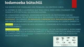 PROTOZOOS INTESTINALES II.pptx