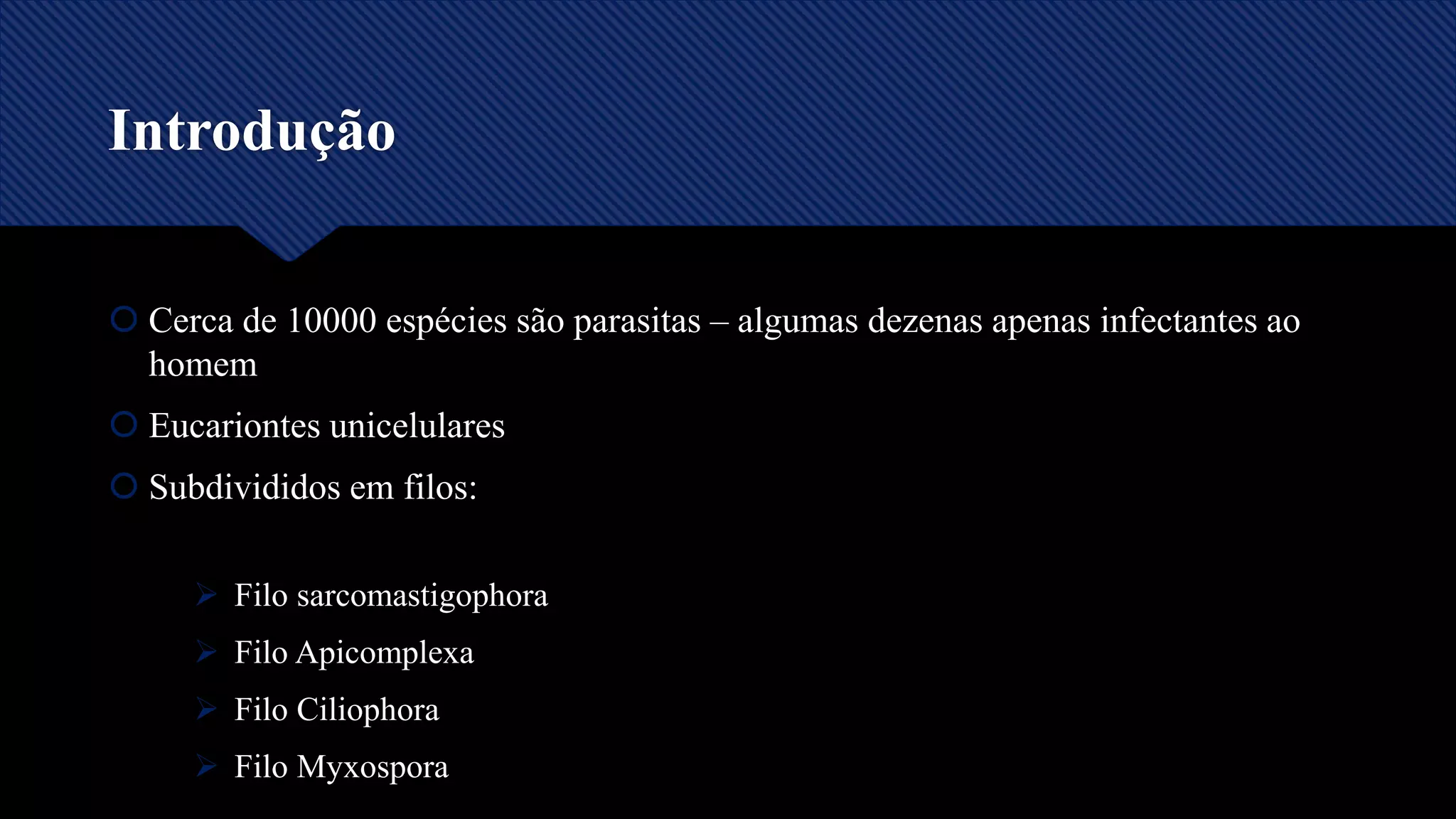 Protozoários sarcodina | PPT