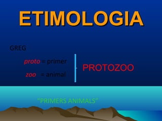 Protozous | PPT