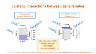 The landscape of microbial phenotypic traits and associated genes | PPT