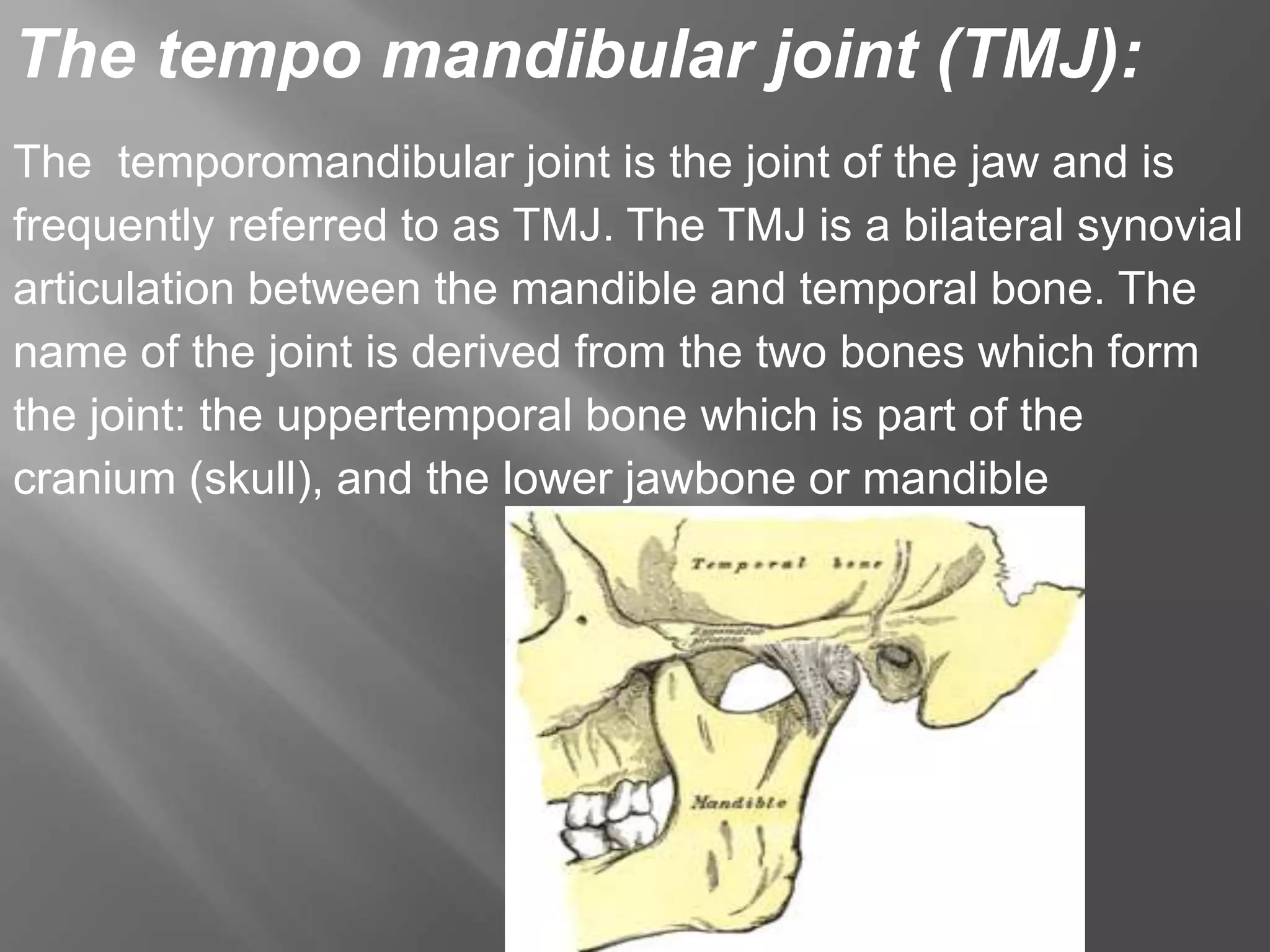 Protrusive mandibular movements | PPTX