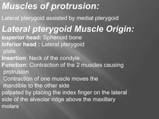 Protrusive mandibular movements | PPTX