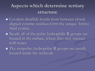 ProtStruct ppt (1).pdf amino acids ppt Proteins structure Primary ...