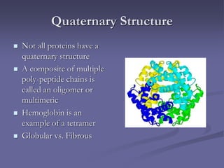 ProtStruct ppt (1).pdf amino acids ppt Proteins structure Primary ...