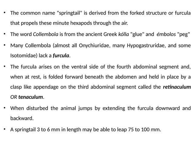 Protura insects biology and their habitat | PPT