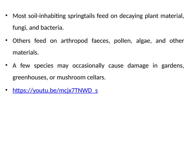 Protura insects biology and their habitat | PPT