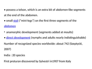 Protura insects biology and their habitat | PPT