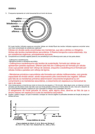 Celulas De Esclerenquima De Pera