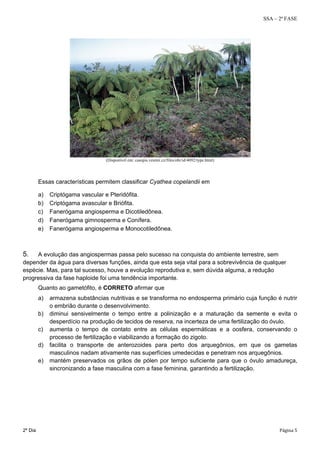 Provas do segundo dia do SSA2 da UPE | PDF