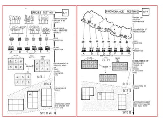 Provenance and Species Trials in Forest Tree Improvement.pptx