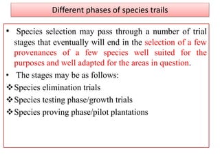 Provenance and Species Trials in Forest Tree Improvement.pptx