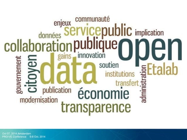 Capability Matrix for Open Data Businesses | PDF
