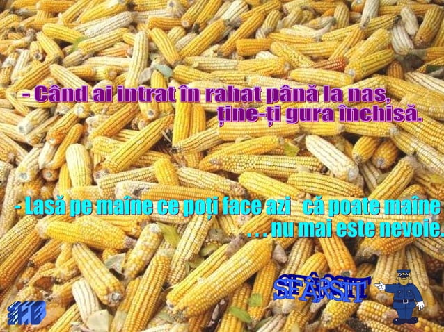 Proverbe Romanesti | PPS