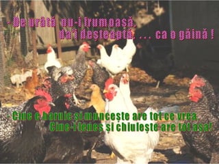 Proverbe Romanesti | PPS