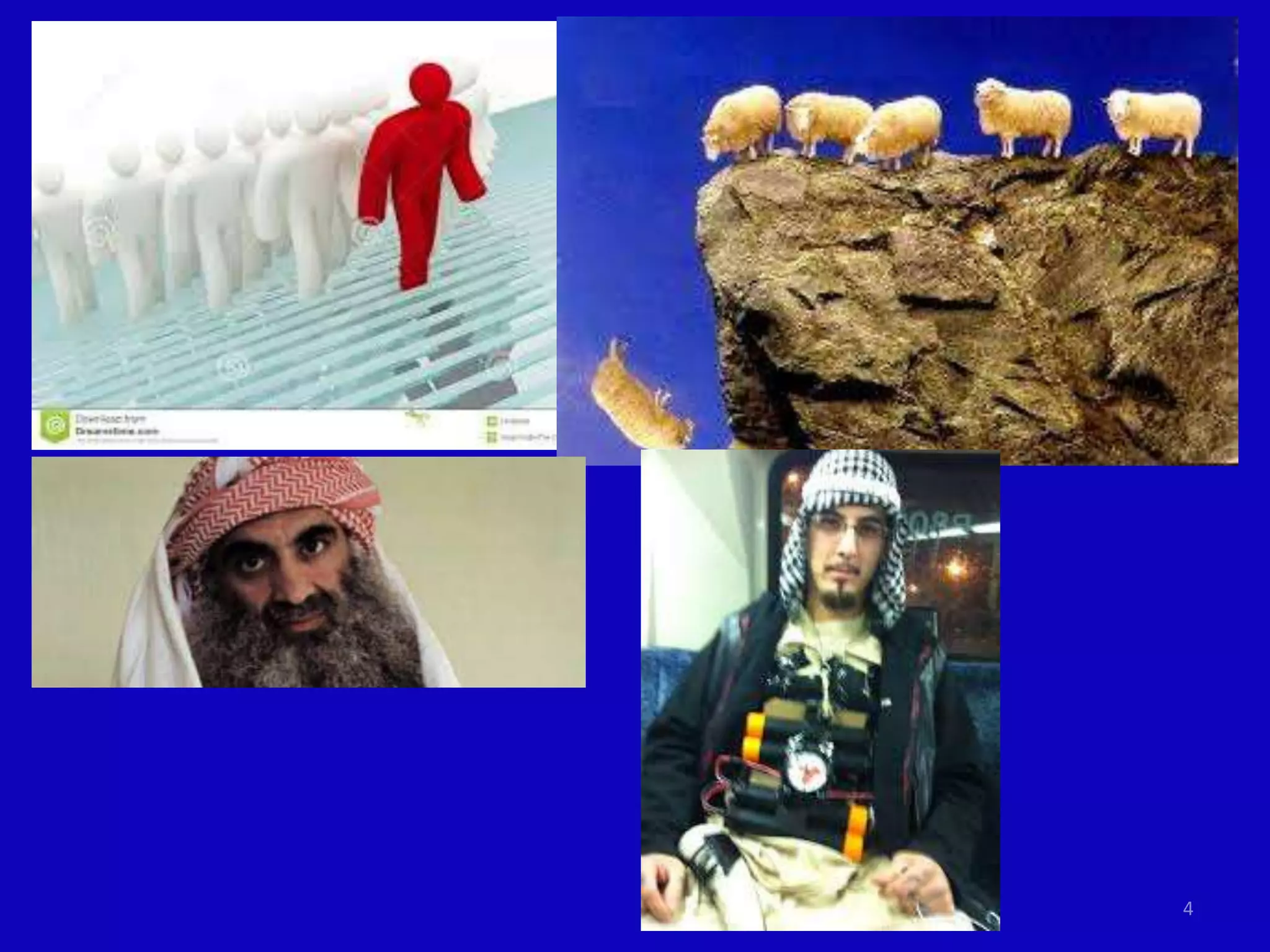 Proverbs 26a fools | PPTX