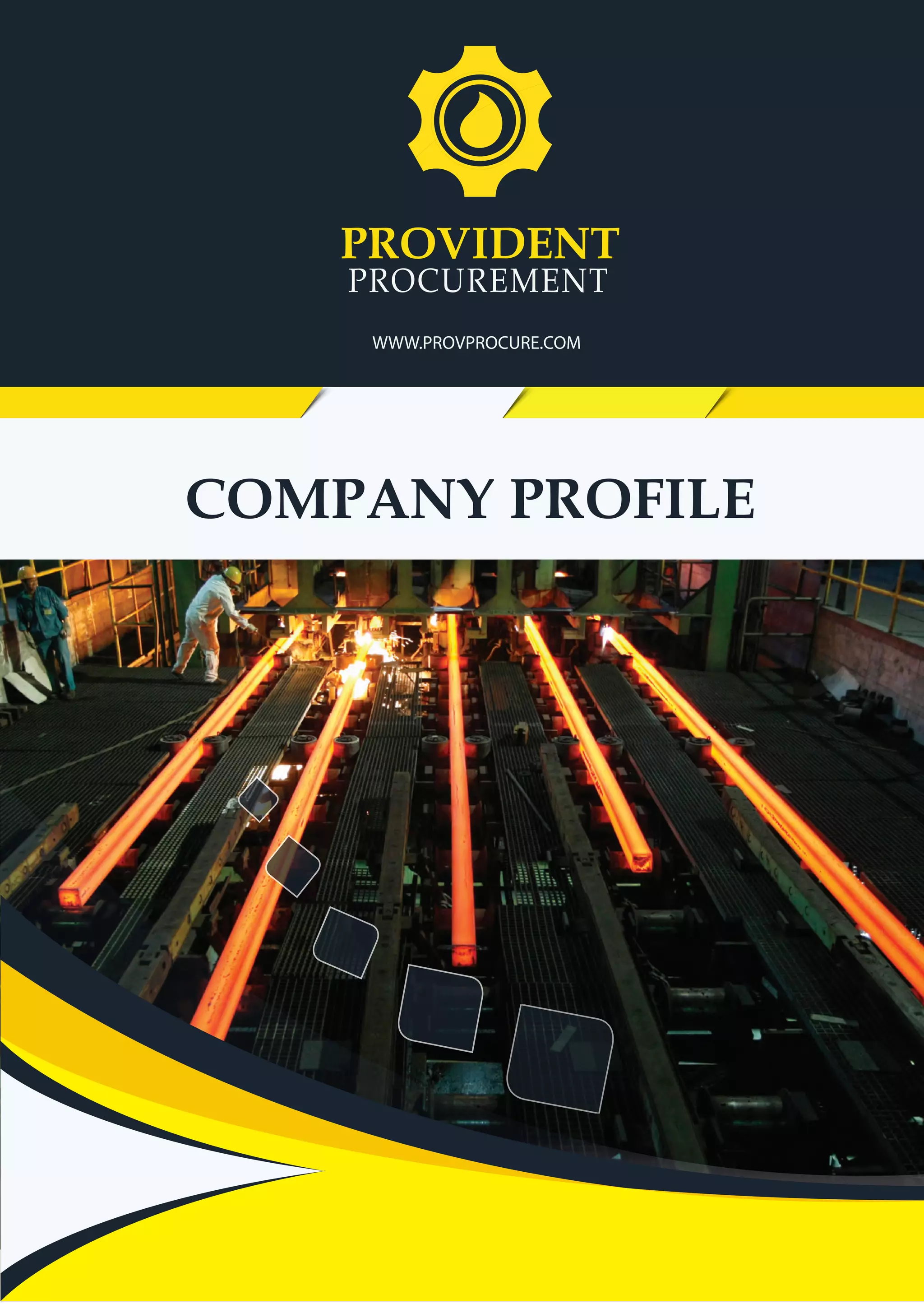 Provident Procurement Company Profile | PDF